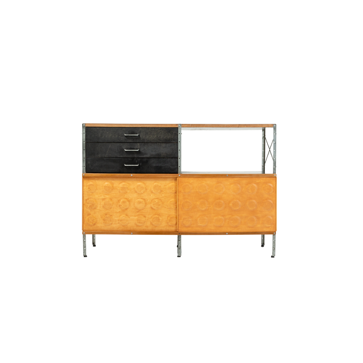 1st Generation ESU Cabinet model 220C by Charles & Ray Eames for Herma ...